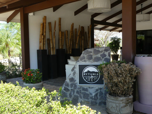 Destination Review: Rythmia Life Advancement Center - The Happy Channel®